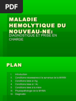 Cours de Physiologie Sanguine | PDF | Globule rouge | Sang
