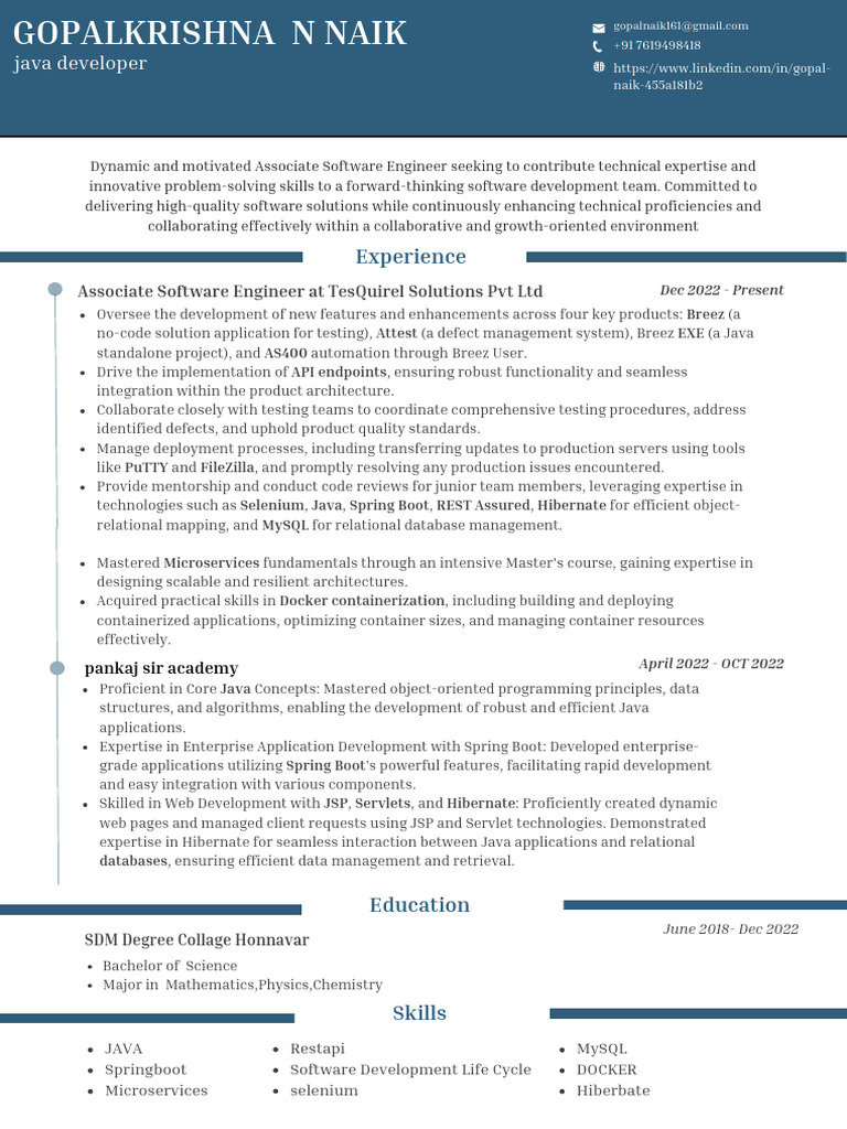 Experience: Java Developer | PDF