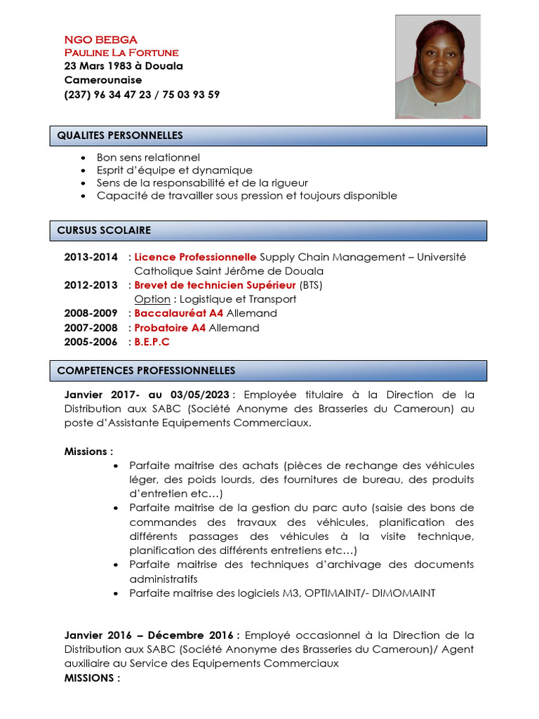 CV Ngo Bebga | PDF