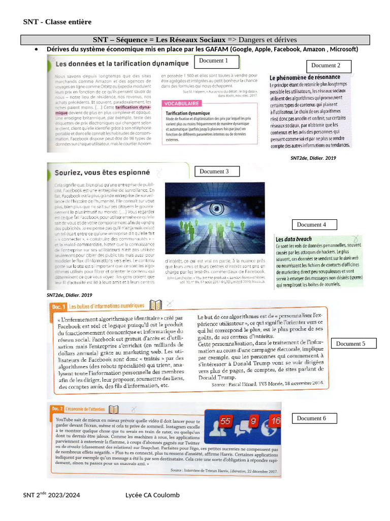 SNT-Réseaux Sociaux Étude de Docs | PDF