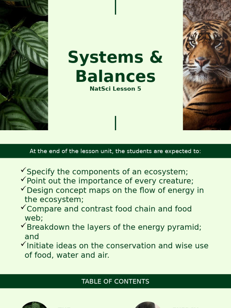 Systems and Balances | PDF
