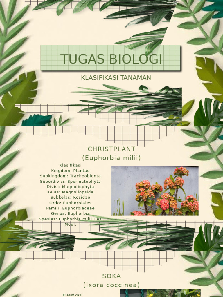 Tugas Biologi | PDF