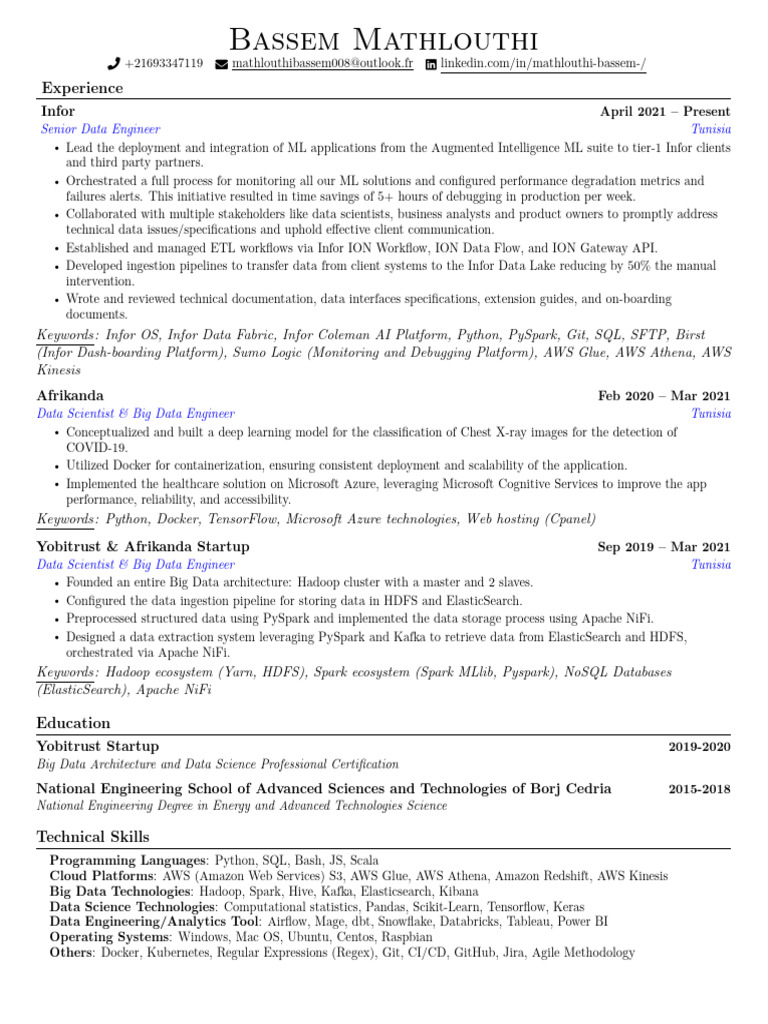 Bassem S Resume | PDF