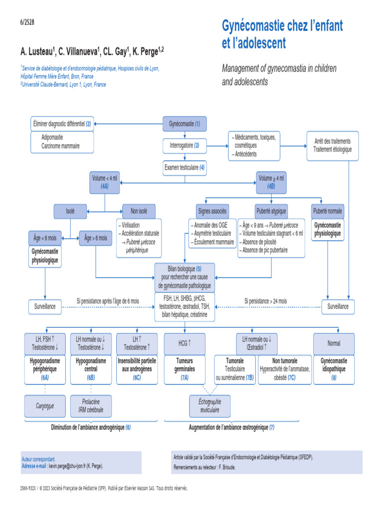 Gynécomastie chez l'enfant et adolescent | PDF | Andrologie | Médecine