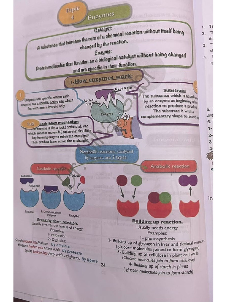 Image To PDF 20241004 17.17.04 | PDF