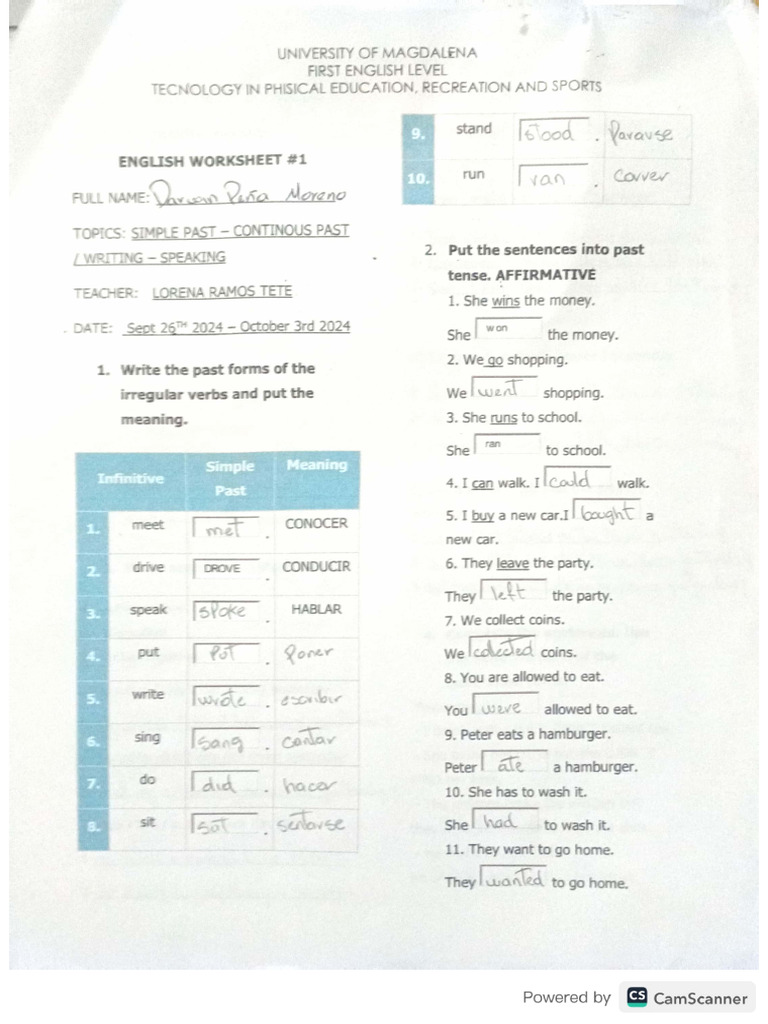 Past Simple Worksheet | PDF