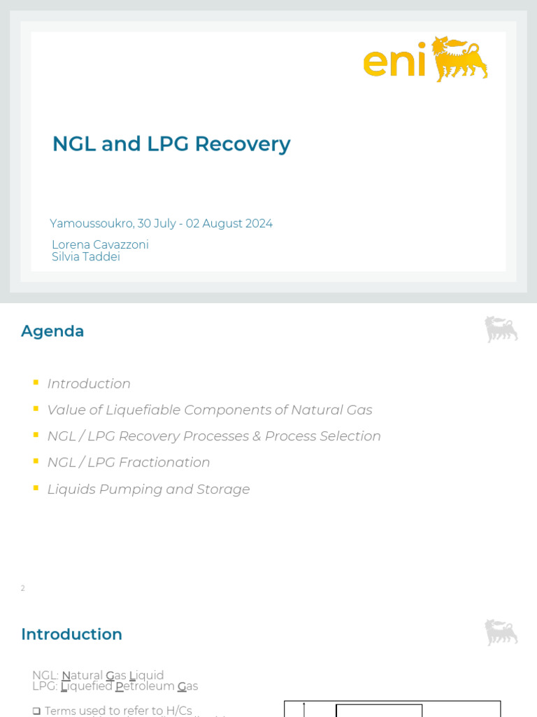 NGL and LPG Recovery - 2024 - 00 | PDF