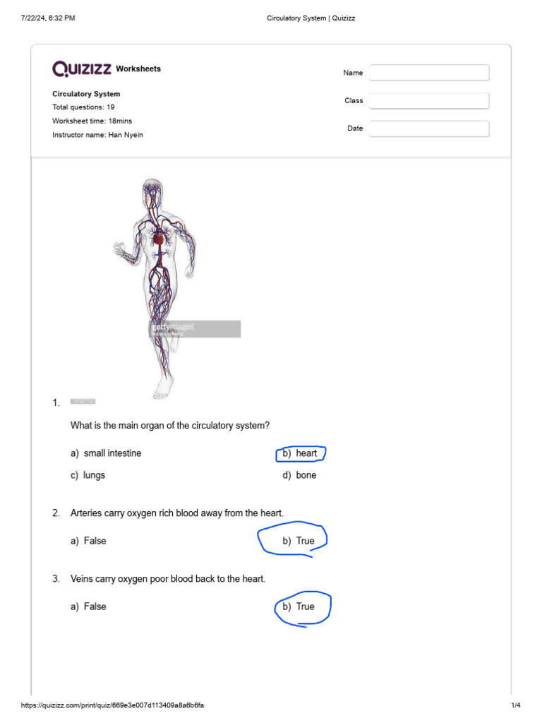 Circulatory System - Quizizz Aurora | PDF