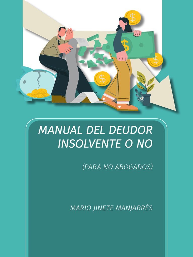 Manual Del Deudor V2a | PDF