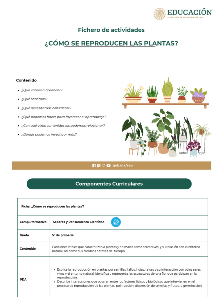 Ficha_5°_-¿Como-se-reproducen-las-plantas_ | PDF