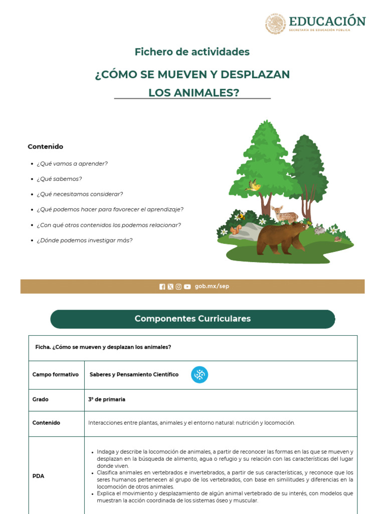 Ficha - 3° - ¿Como Se Mueven y Desplazan Los Animales | PDF