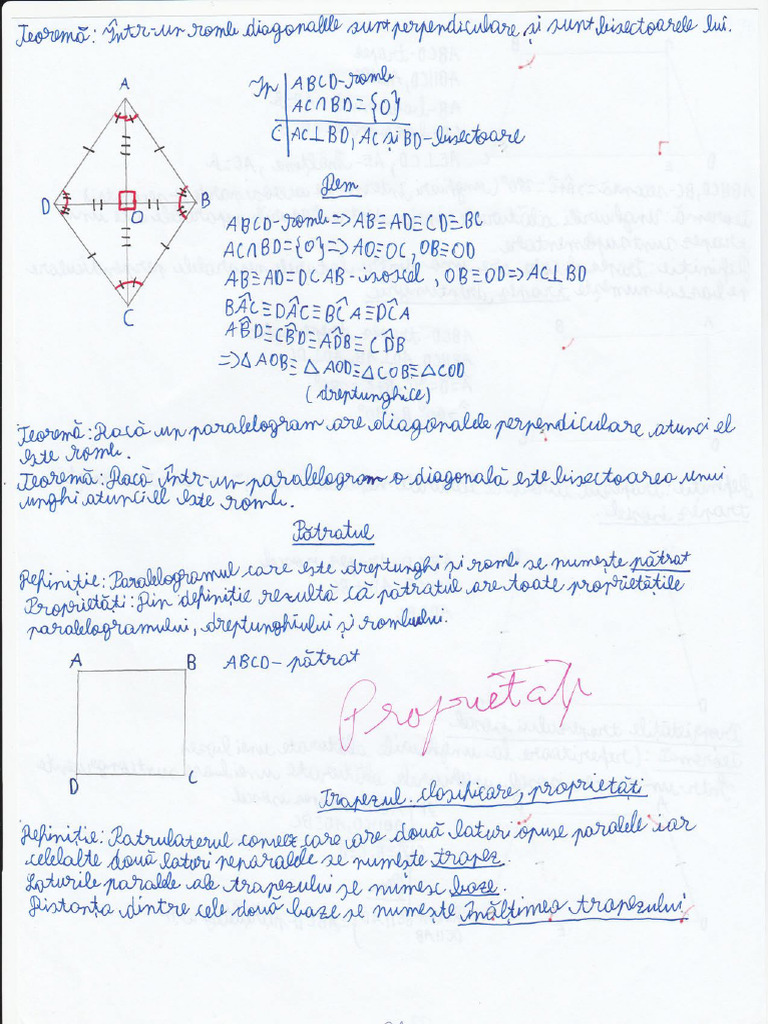 Matematica 5-8 Geometrie 21 | PDF
