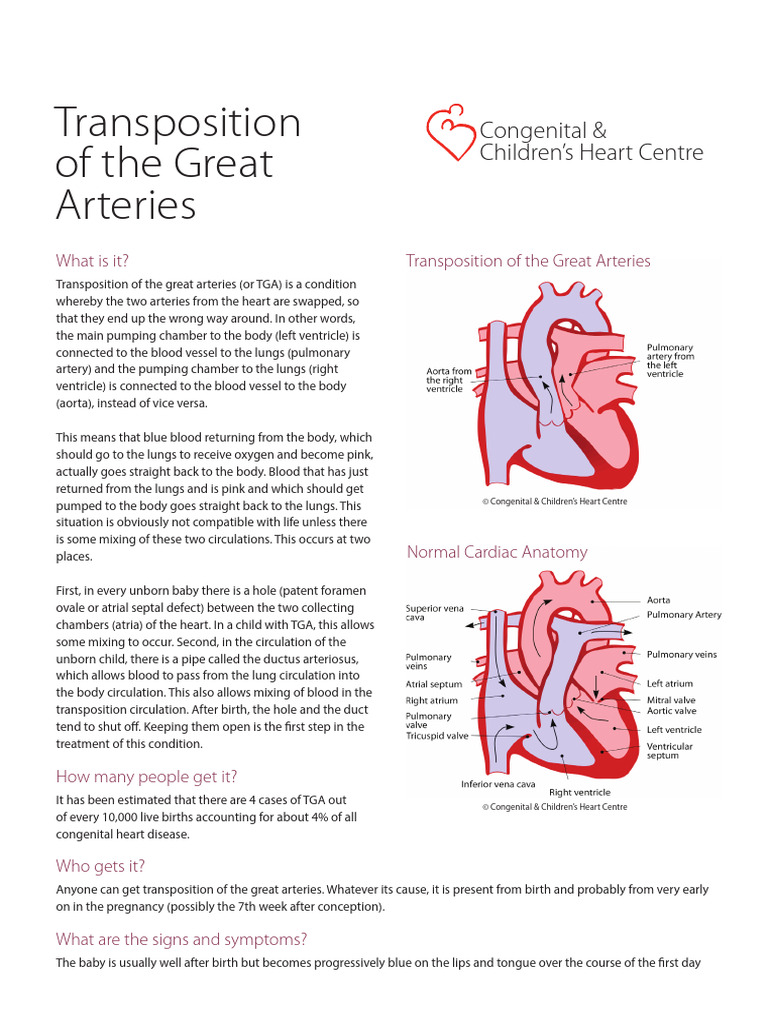 Transposition of The Great Arteries | PDF