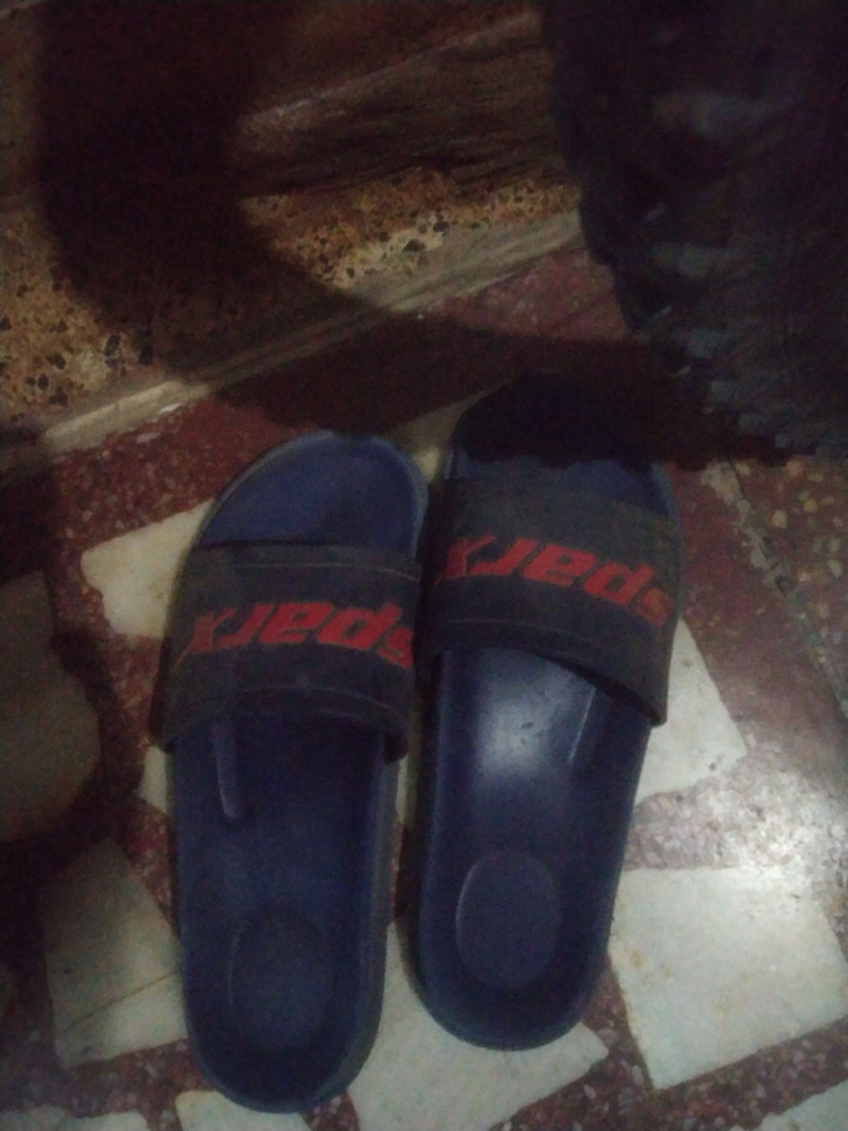 Scanned 20241005-1848 | PDF