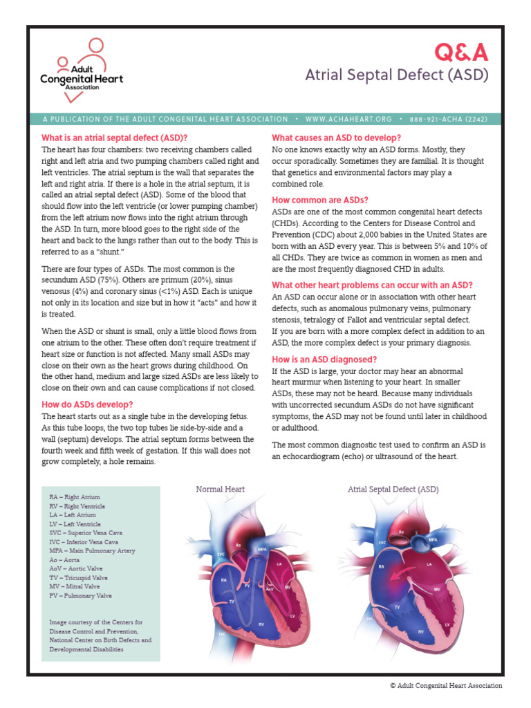 What Is An Atrial Septal Defect (ASD) ? What Causes An ASD To Develop ...