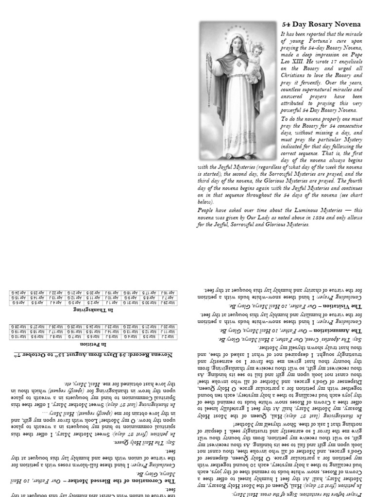 Prayer 54 Day Rosary Novena-2 - Booklet | PDF