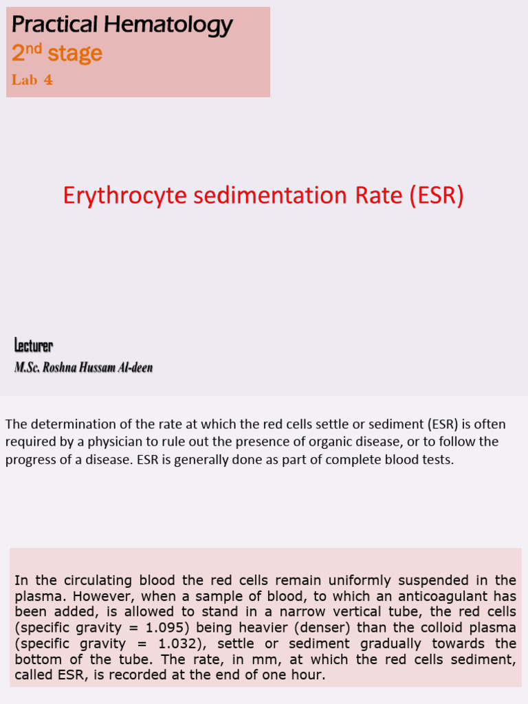 Lab4 ESR PDF | PDF