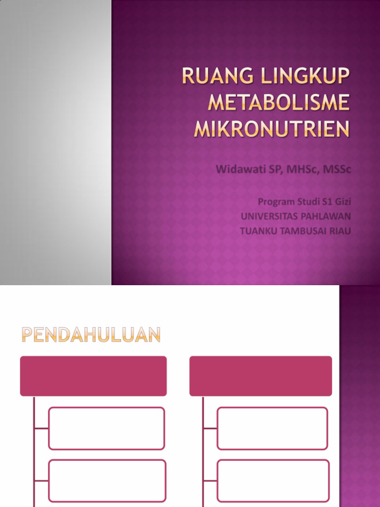 Ruang Lingkup Metbol Mikro | PDF