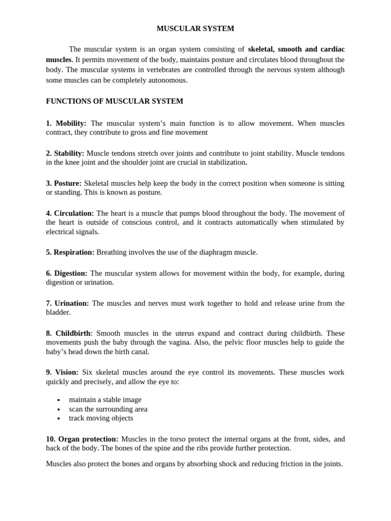 Muscular System | PDF