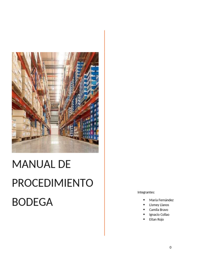Manual Procedimiento Bodega | PDF