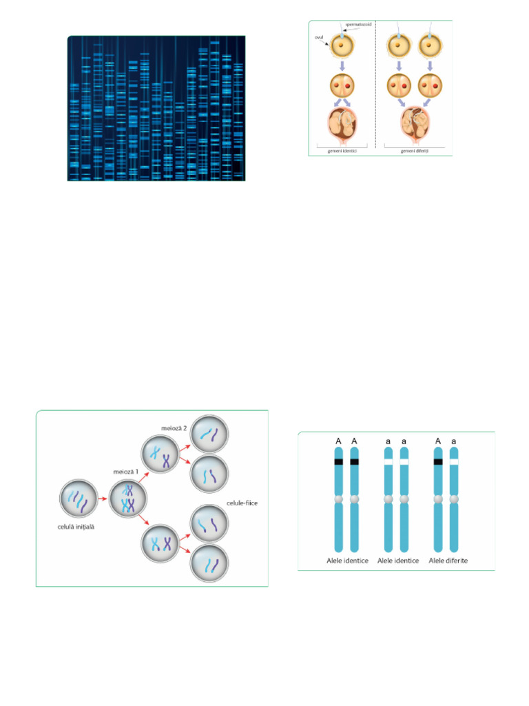 Biologie | PDF