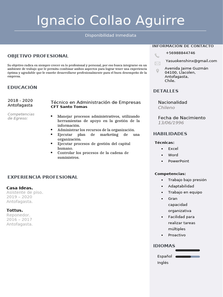 CV Ignacio Collao | PDF