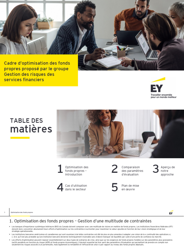 Ey FSRM Capital Optimization Solution | PDF