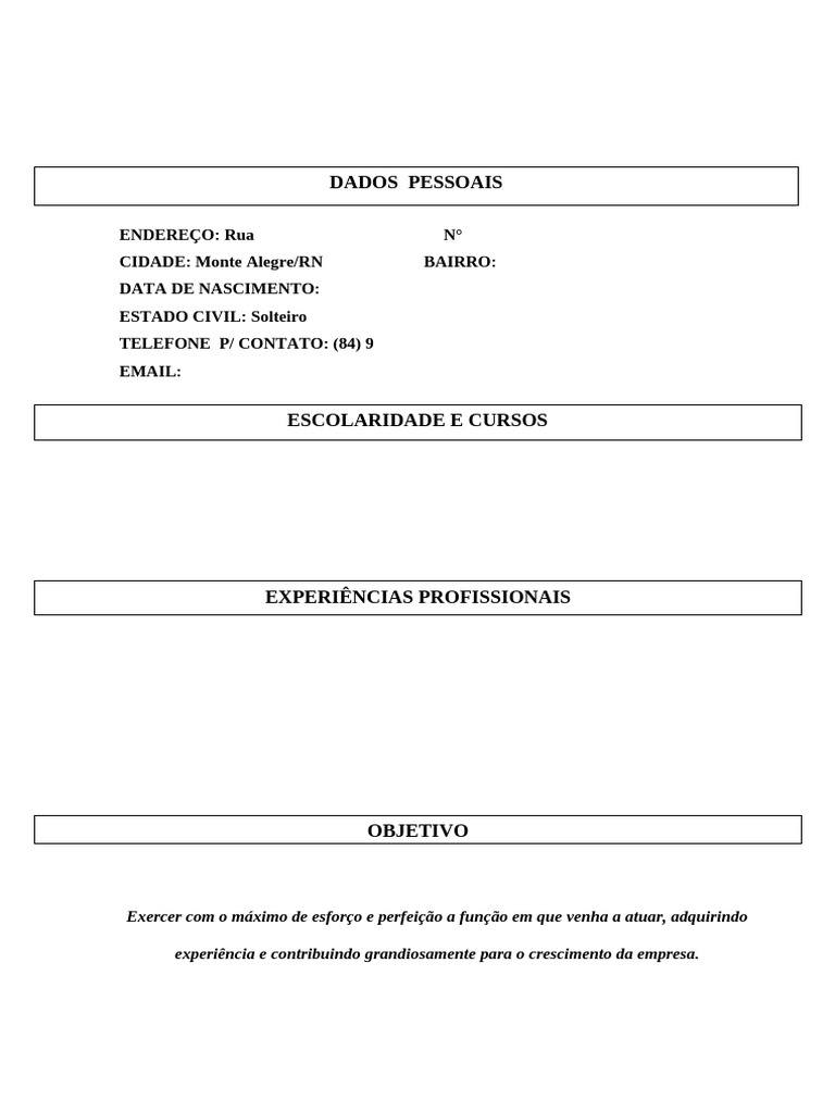 Curriculum Em Branco | PDF