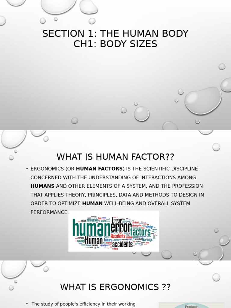 Ch.01 Body Sizes | PDF