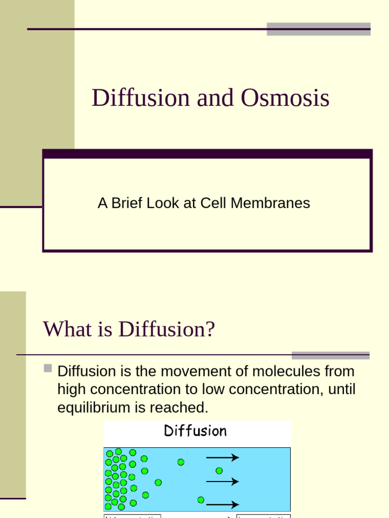 Diffusion and Osmosis | PDF | Osmosis | Chemistry