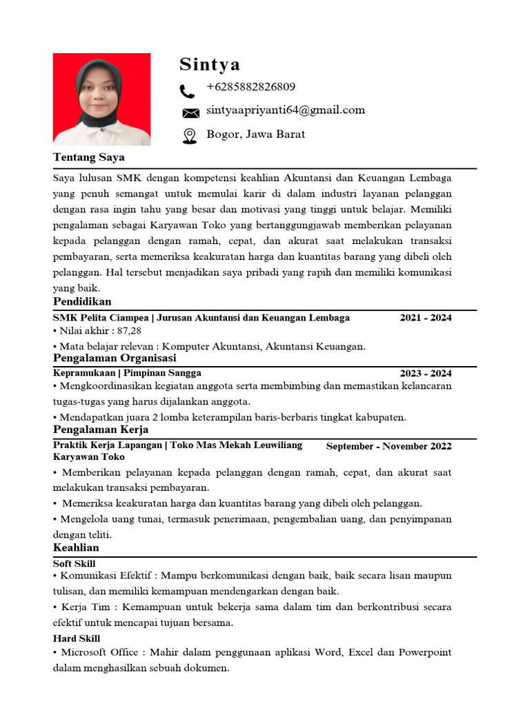 CV Sintya Kasir | PDF