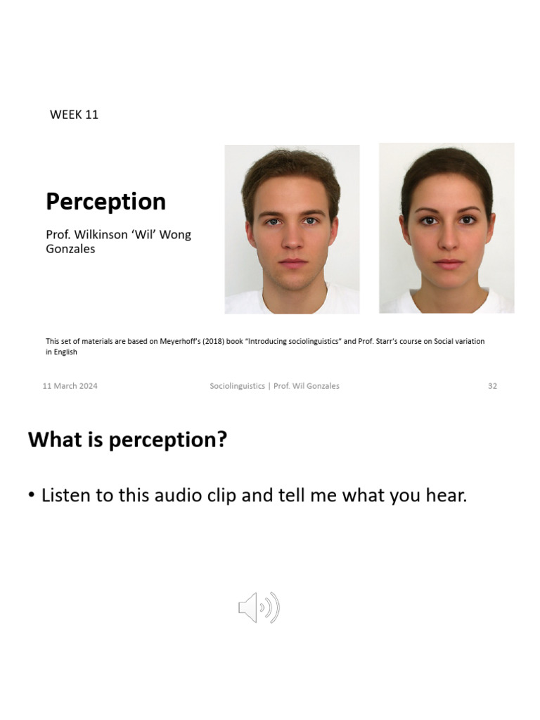 10_Perception | PDF