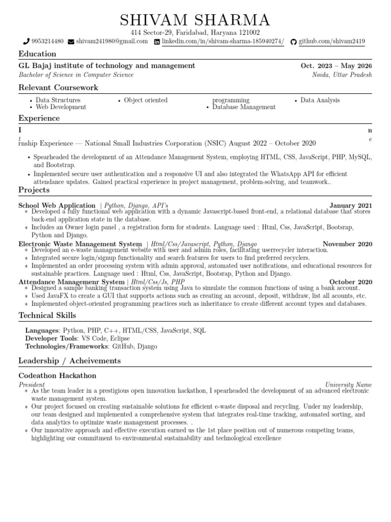 Rough Resume | PDF