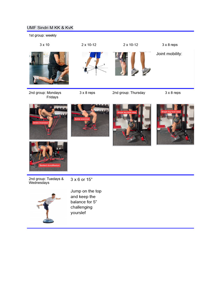 Ankle Programme | PDF