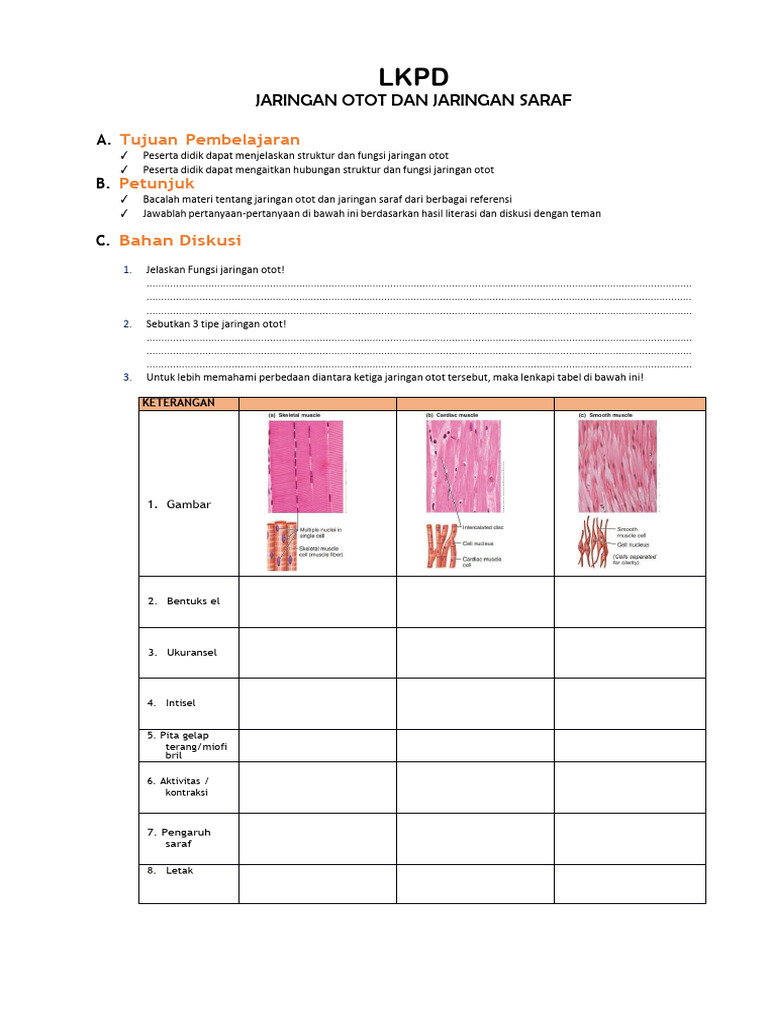 Lkpd-Jaringan-Hewan Jaringan Otot Dan Saraf | PDF | Griya & Taman