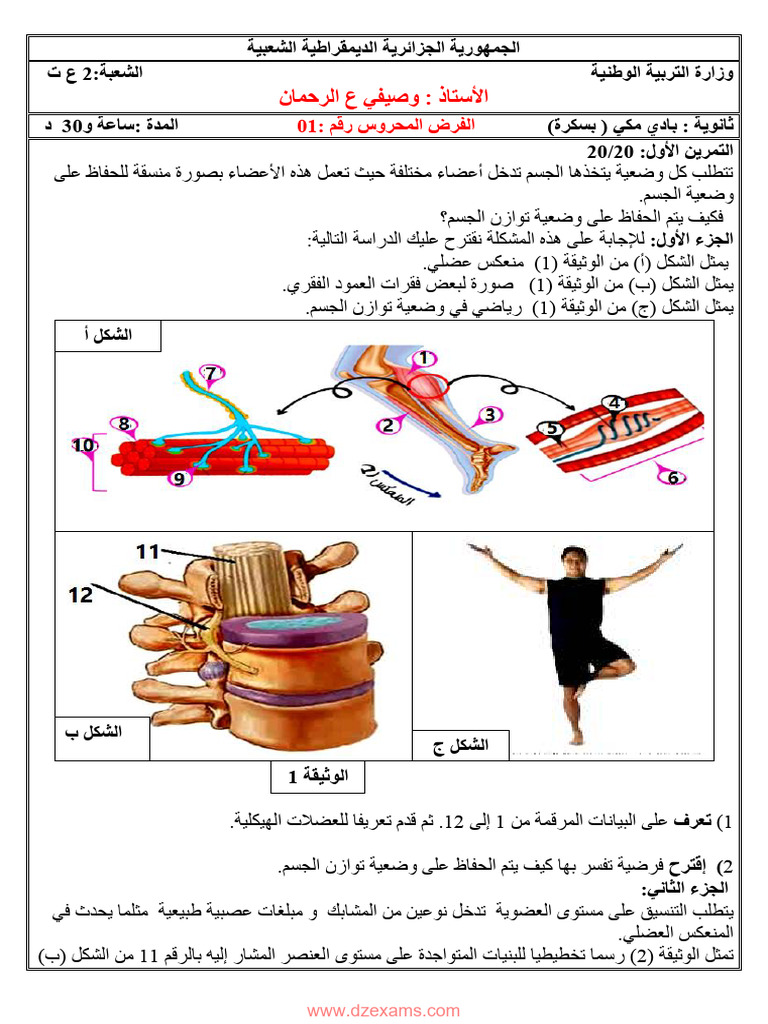 Dzexams 2as Sciences 1827927 | PDF