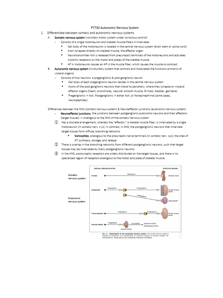 Ans Objectives Summarized | PDF