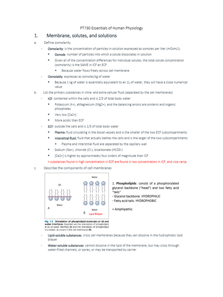 Cell Phys Chapter One Objectives | PDF