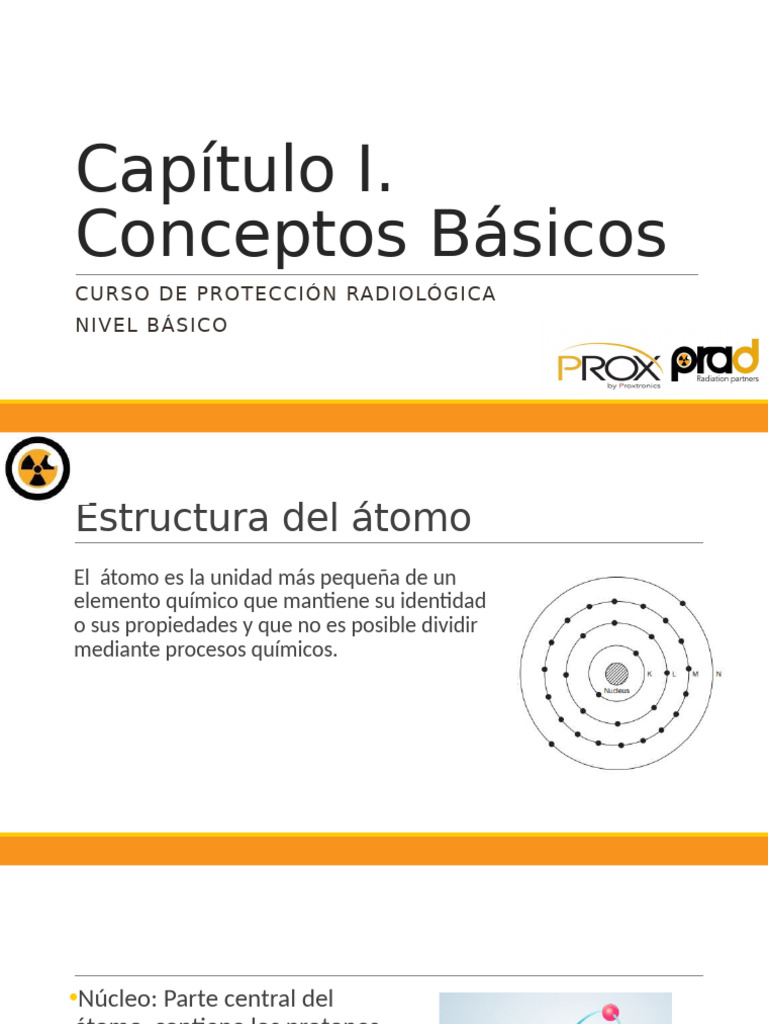Capitulo I. Conceptos Básicos | PDF
