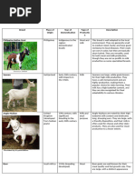 Breeds of Goats | PDF
