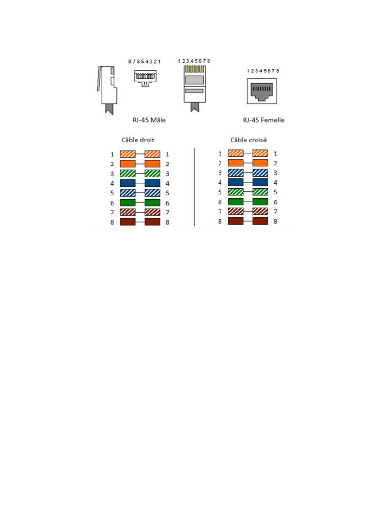 Conffection D - 27un Cable Croisé | PDF