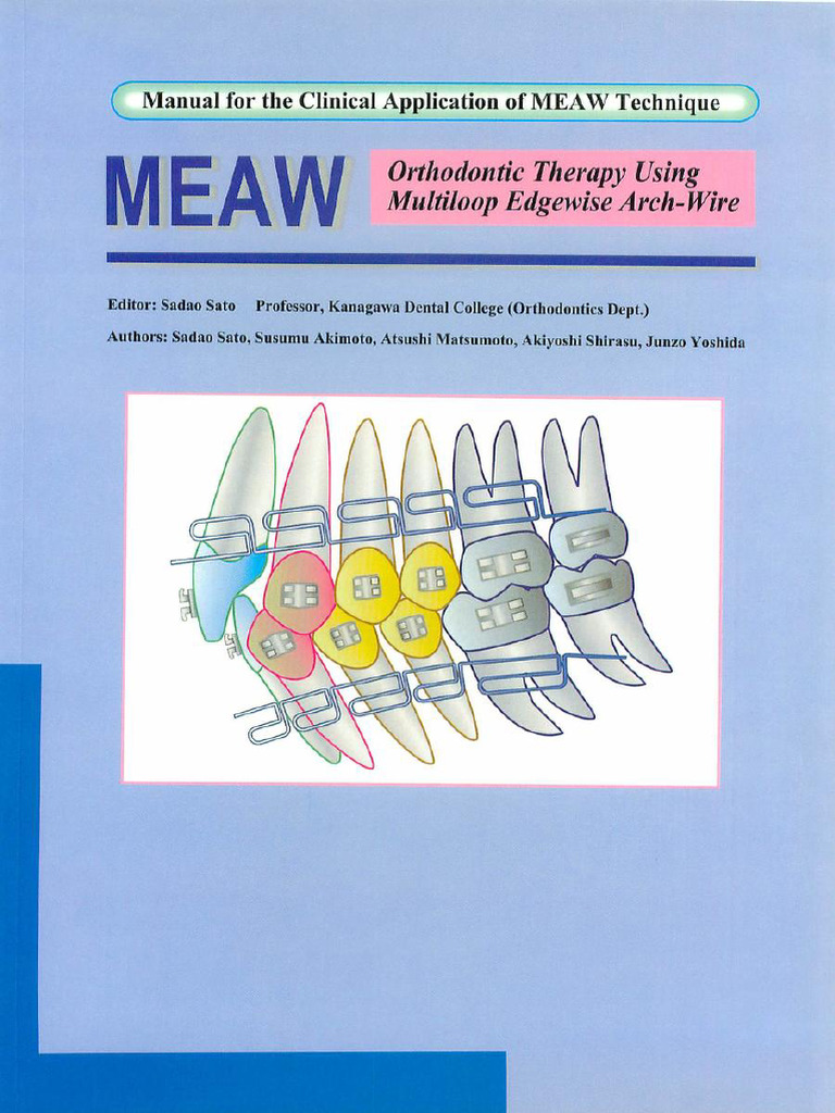 BOOK - Meaw - Manual Basico | PDF