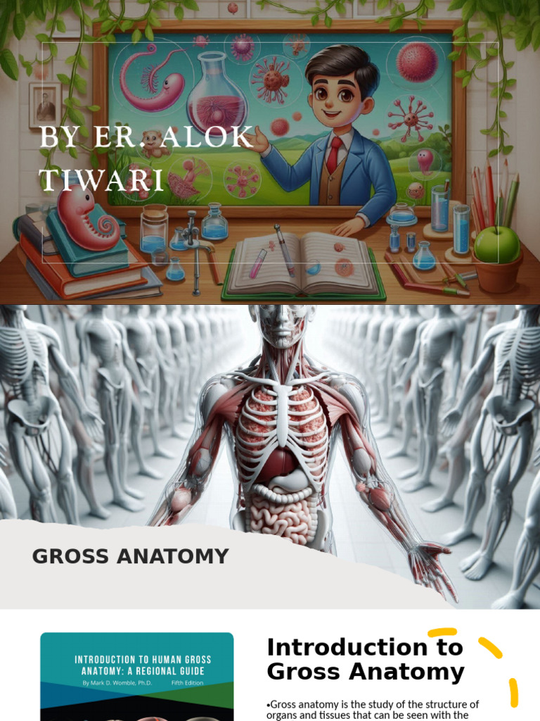 Comprehensive Guide to Gross Anatomy | PDF | Human Body | Science ...