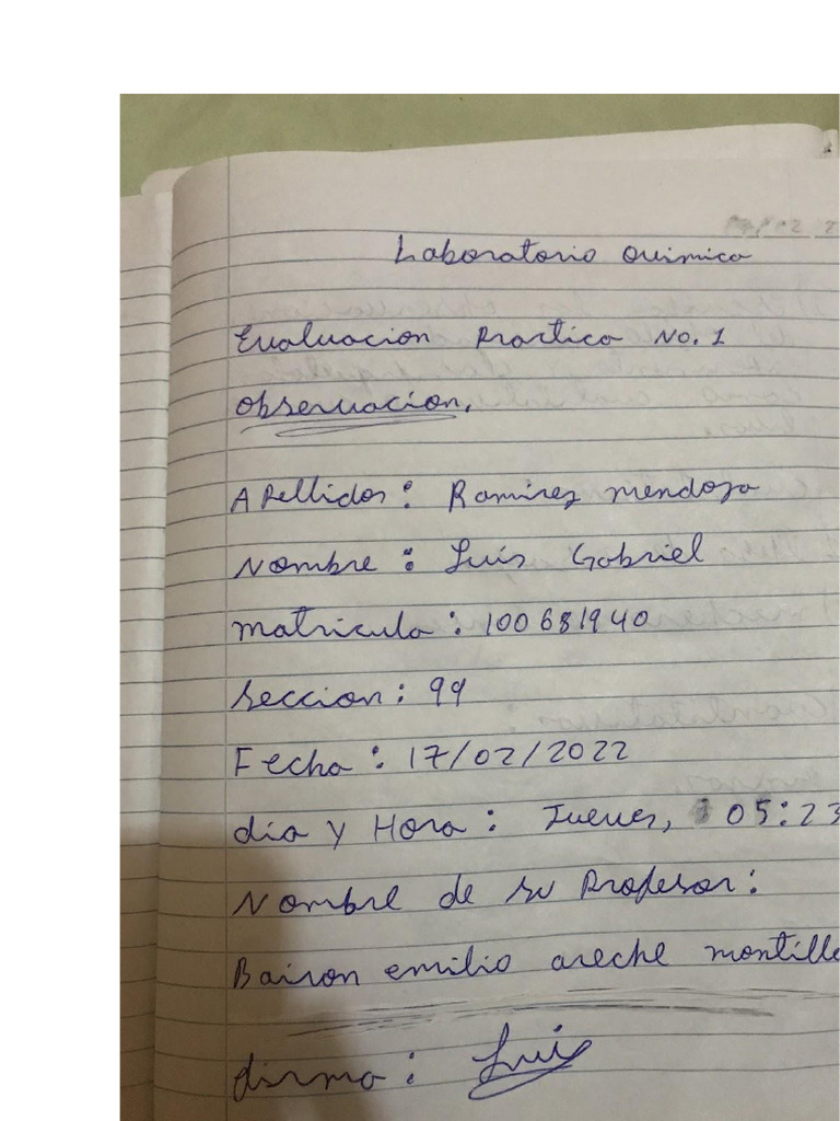 tarea de lab basico | PDF