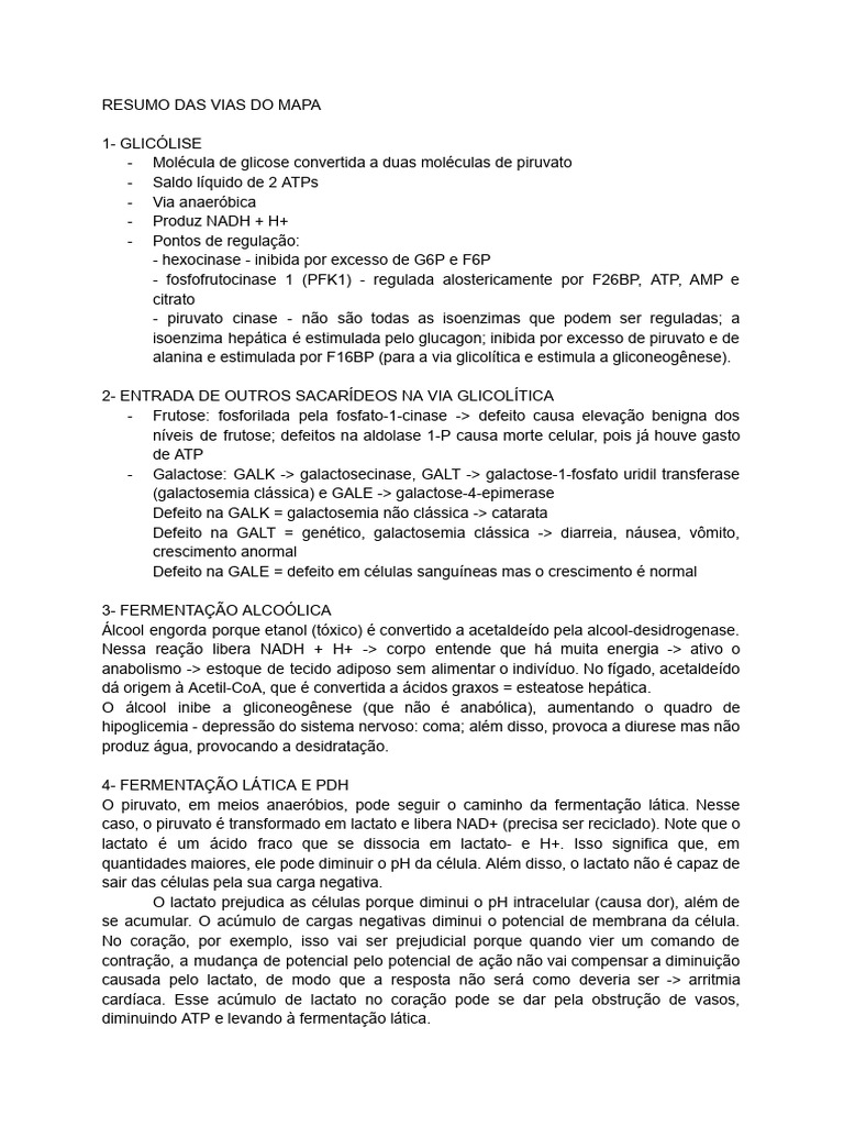 Resumo Das Vias Do Mapa (2) 2 | PDF