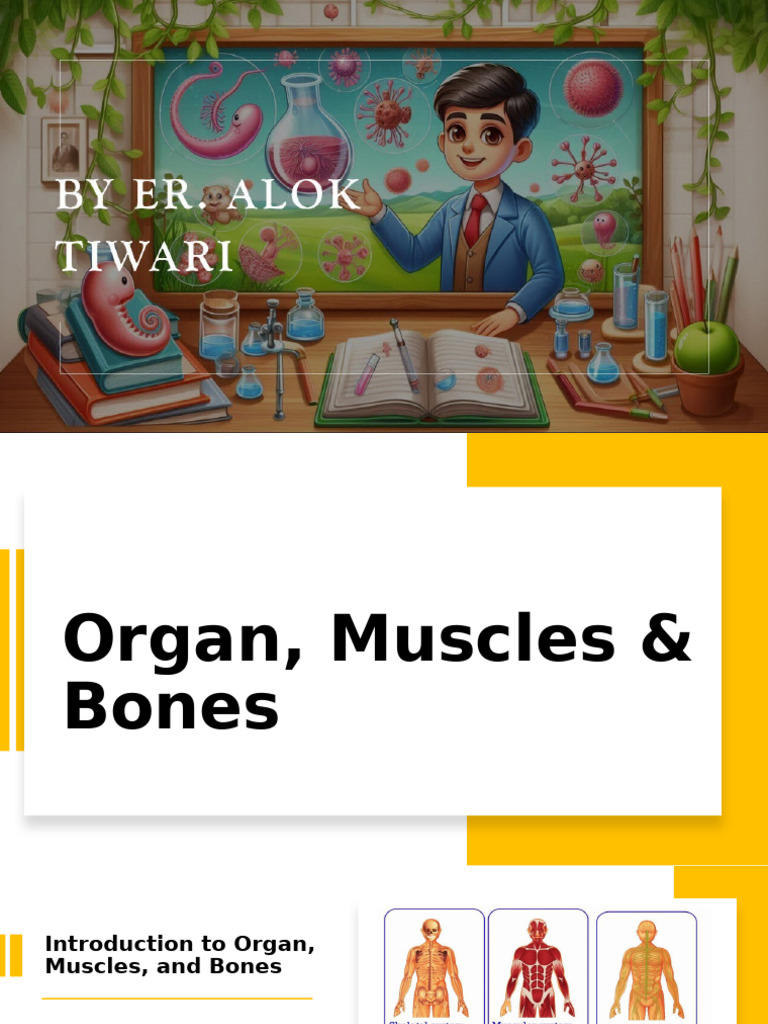 LECTURE 4 Organ, Muscles and Bones | PDF | Bone | Self-Improvement