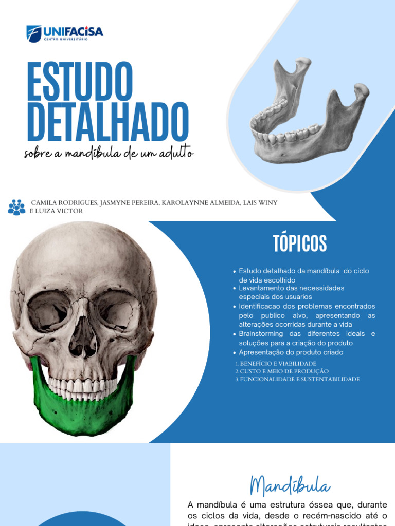 Mandíbula | PDF