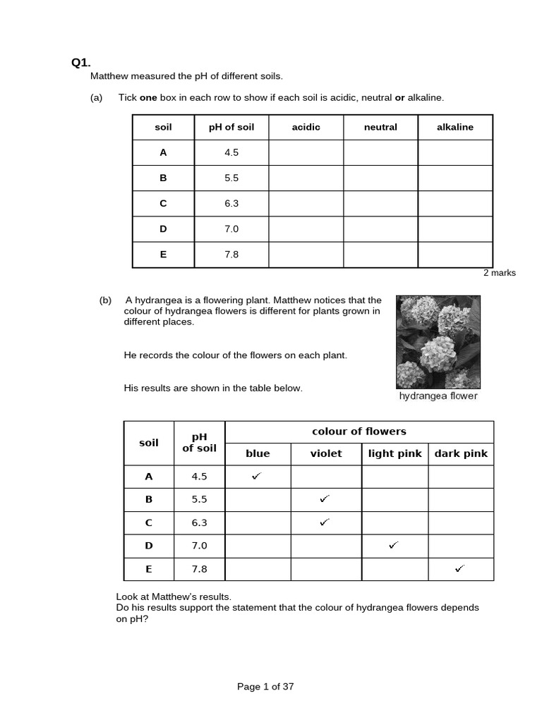 Year 8 Revision EOY | PDF