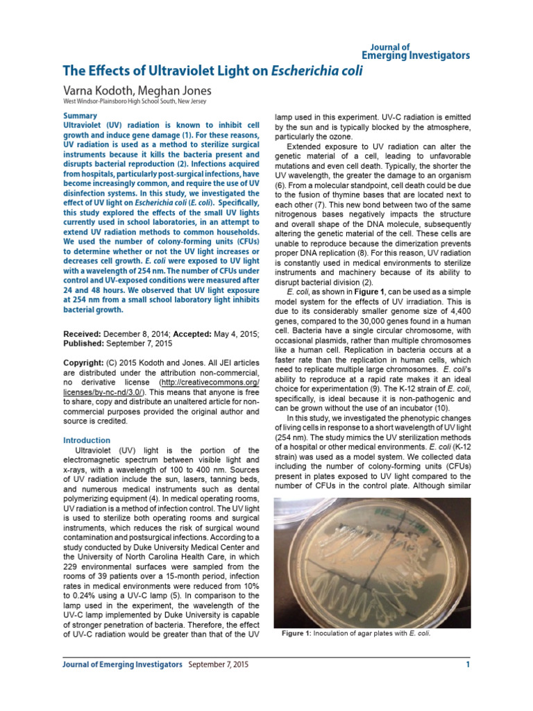 Ultraviolet E Coli Final | PDF