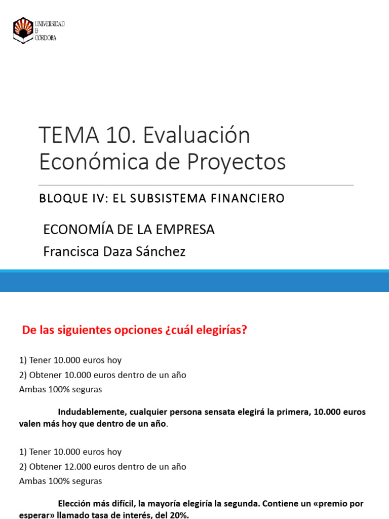 TEMA10. Evaluación Económica de Proyectos | PDF